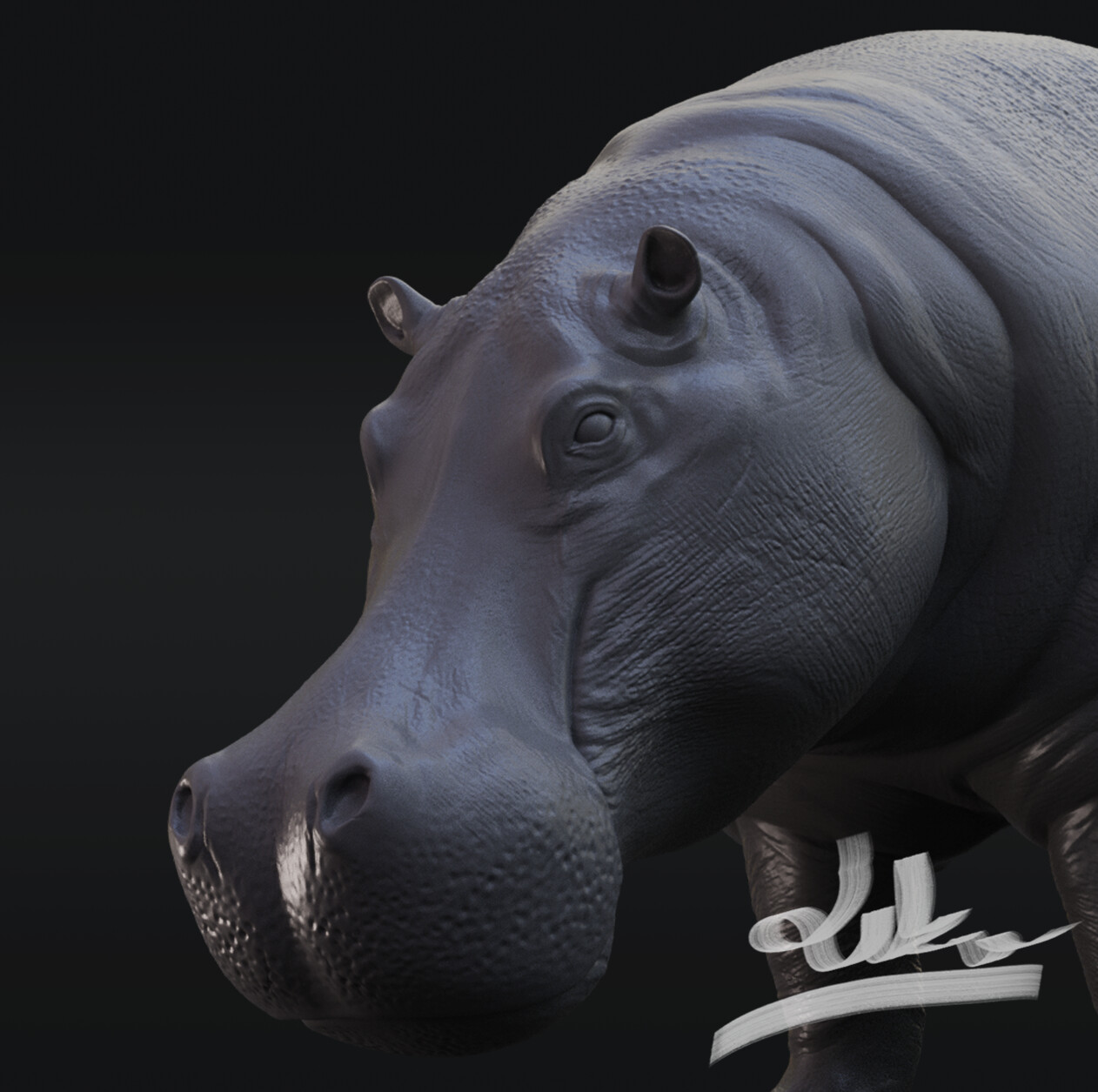 ArtStation - Hippo Anatomy Study