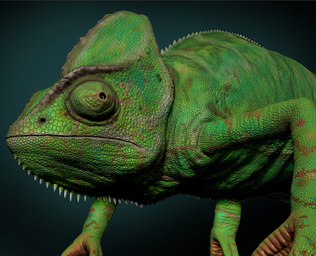 ArtStation - Zbrush /3D Projects