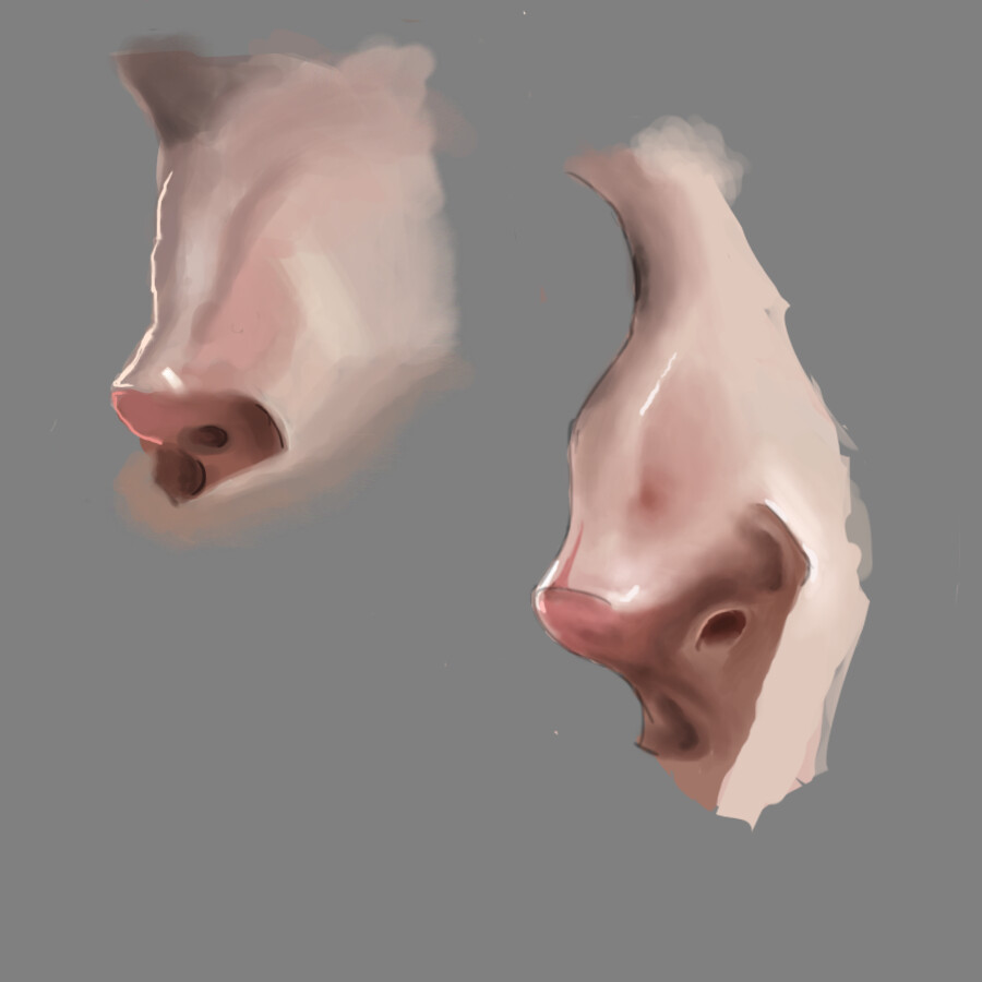 ArtStation - Noses
