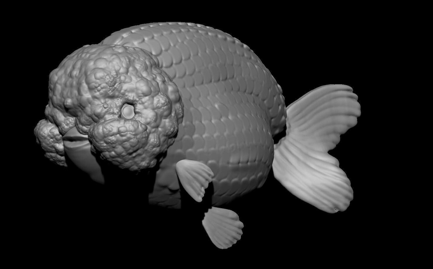 ArtStation - RANCHU GOLDFISH