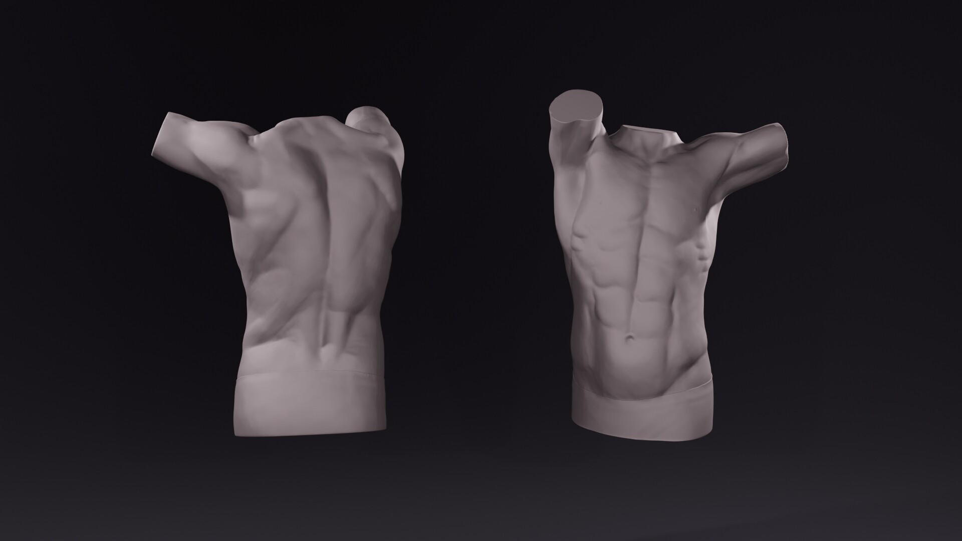 ArtStation - Male Torso Anatomy Study