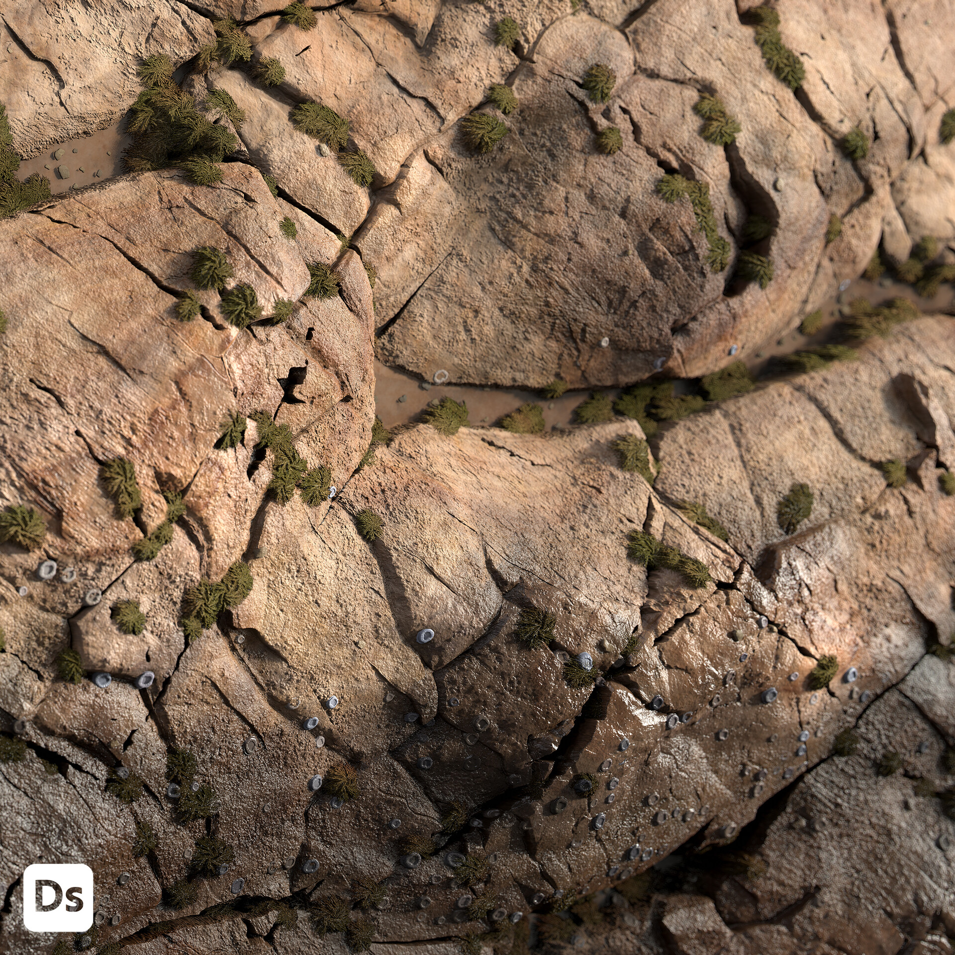 ArtStation - Coastal Stone Cliffs Material Study