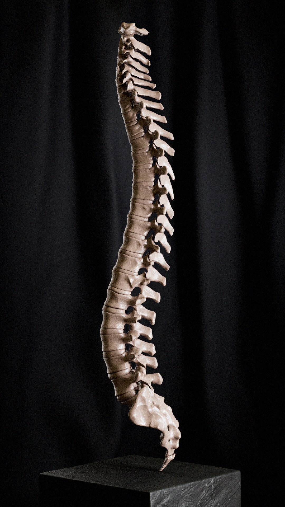 ArtStation - Spine Clay Sculpt