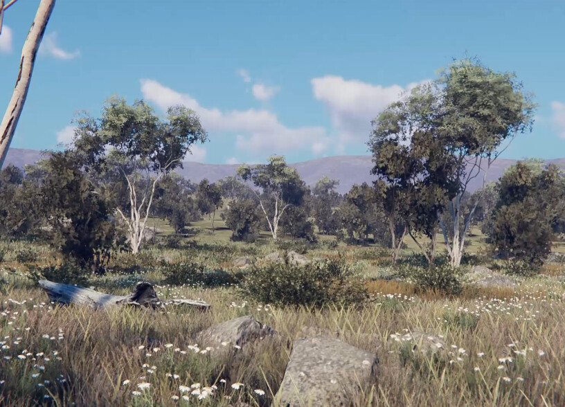 ArtStation - HDRP Unity | Australian Environment