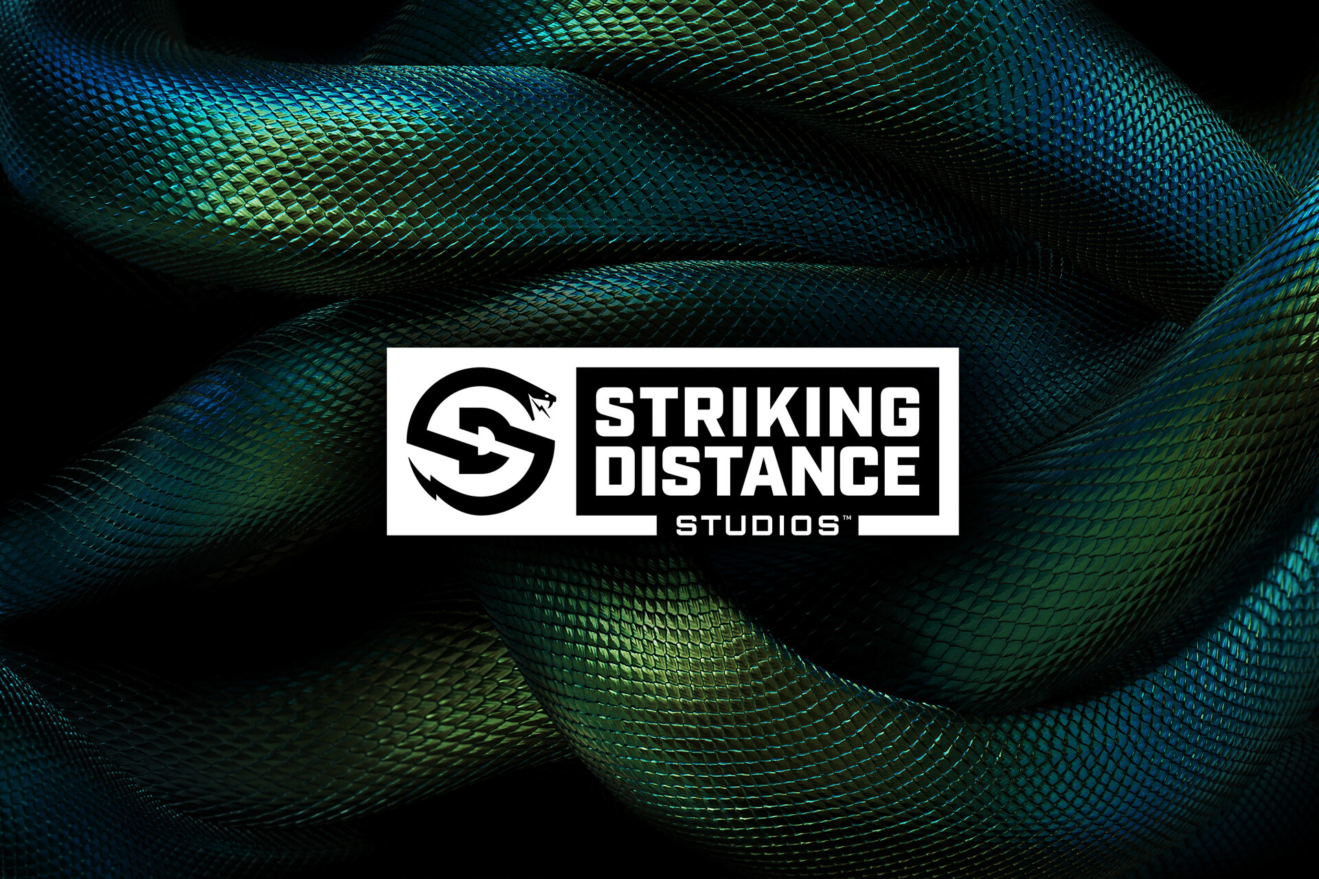 ArtStation - Striking Distance Studios Identity System