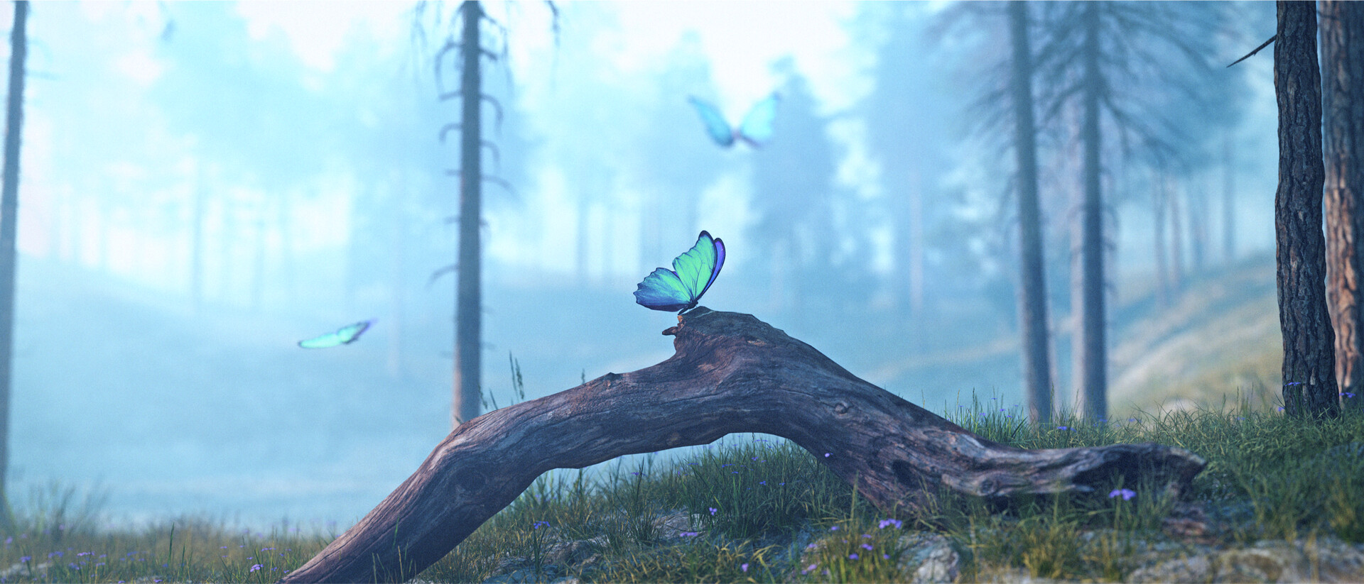 ArtStation - Foggy Morning