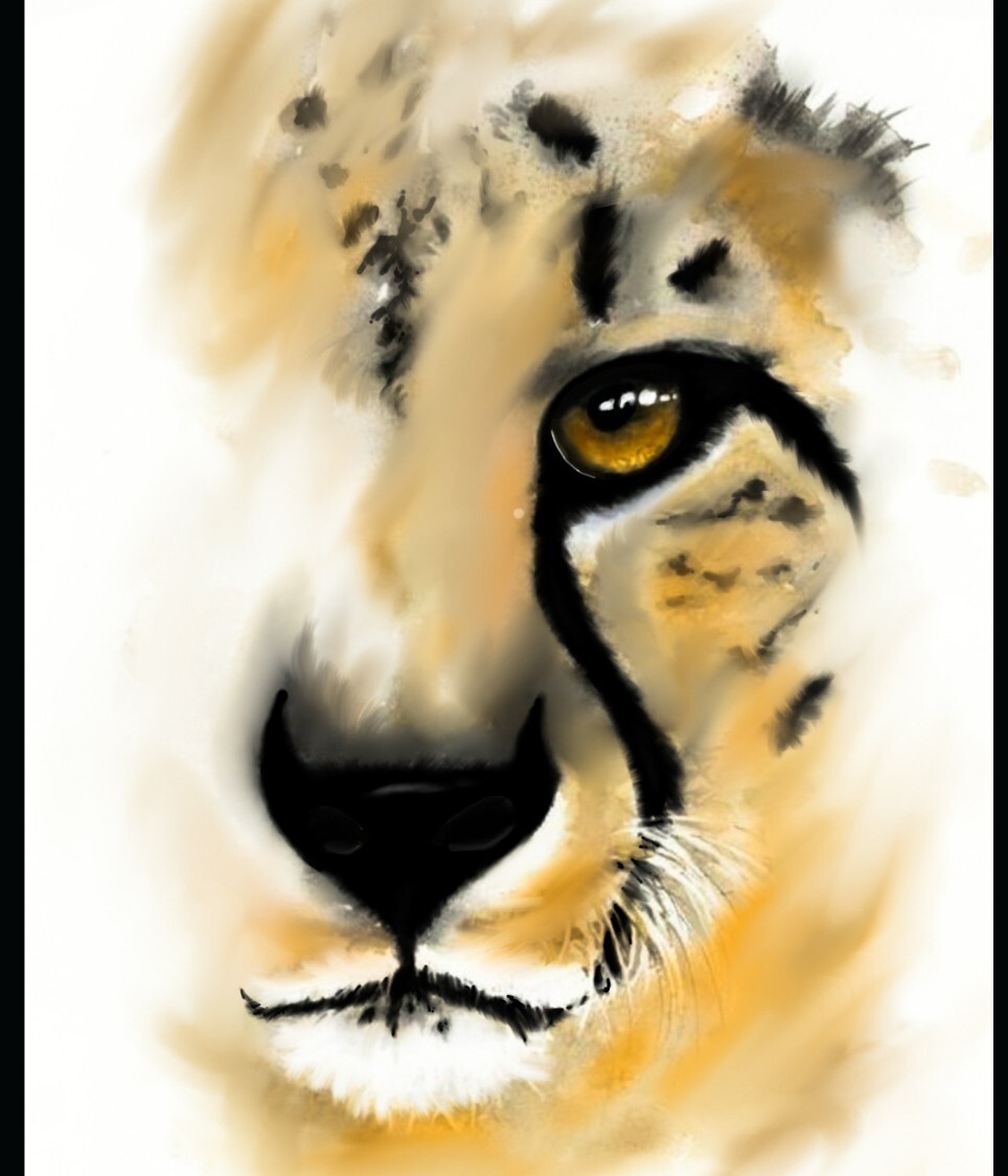 ArtStation - The cheetah art