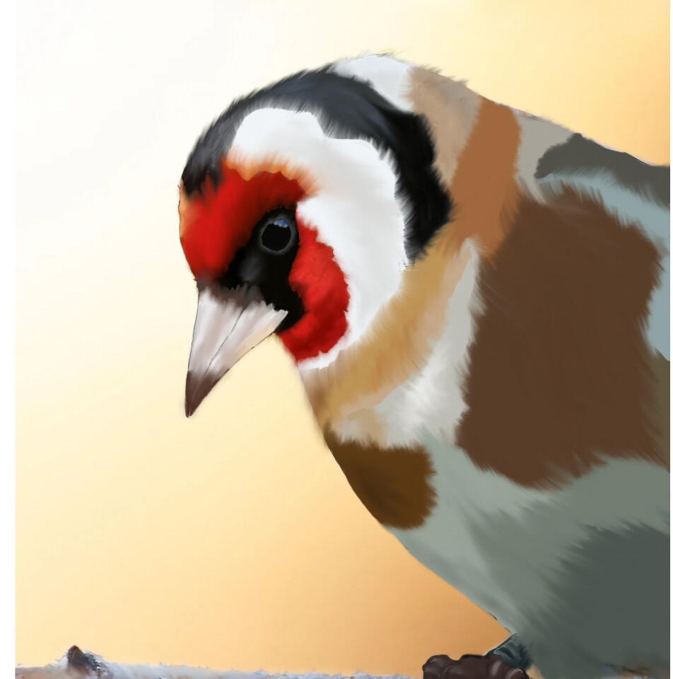 ArtStation - Beautiful Bird Art ... by me