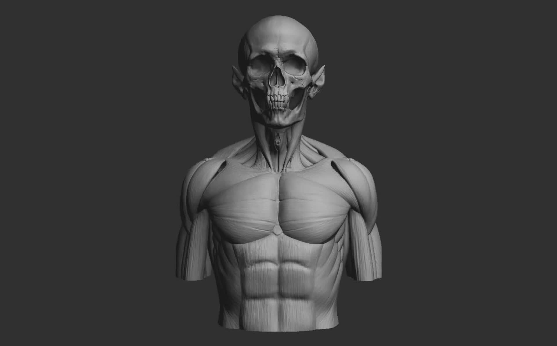 ArtStation - Anatomy of a Vampire