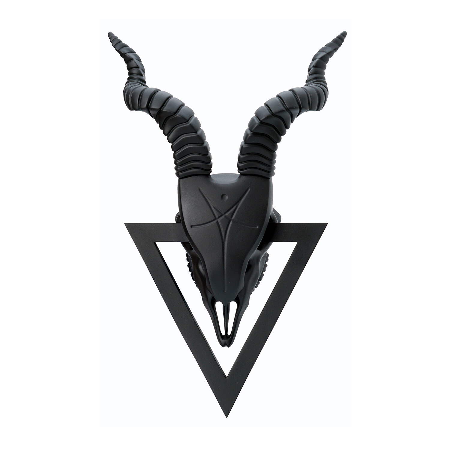 Colus Havenga - Null