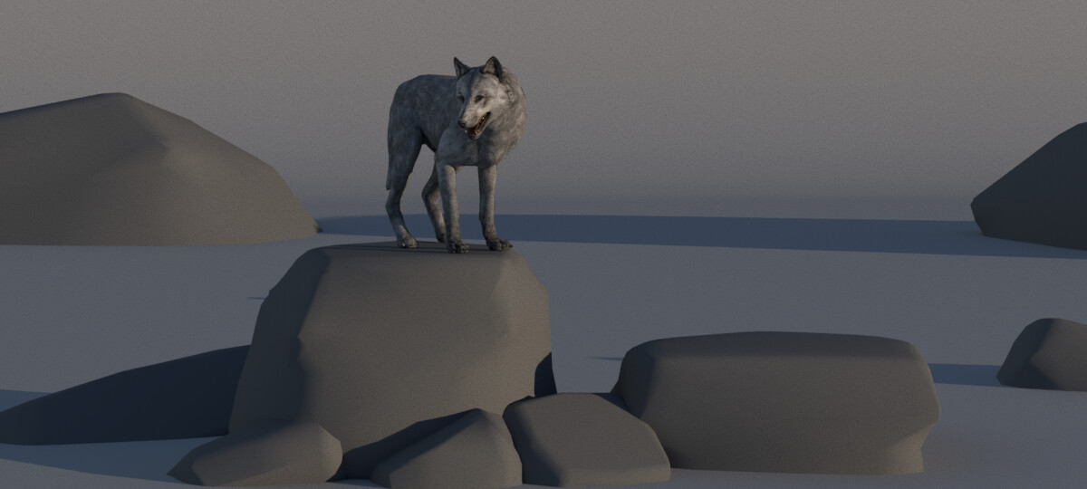 ArtStation - Wolf Animation
