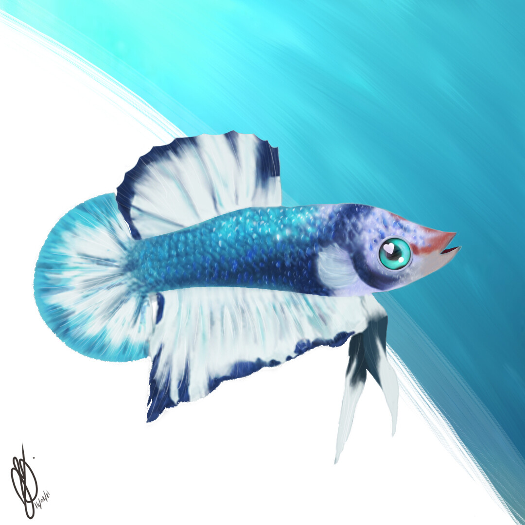 ArtStation - Betta Fish