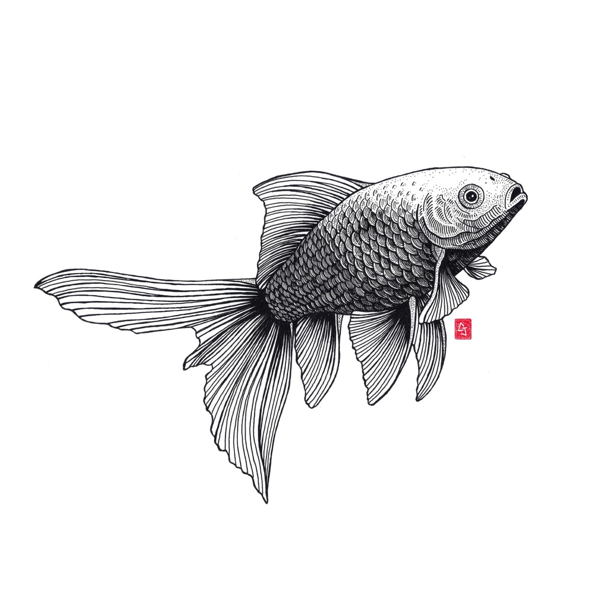 ArtStation - Carassius auratus