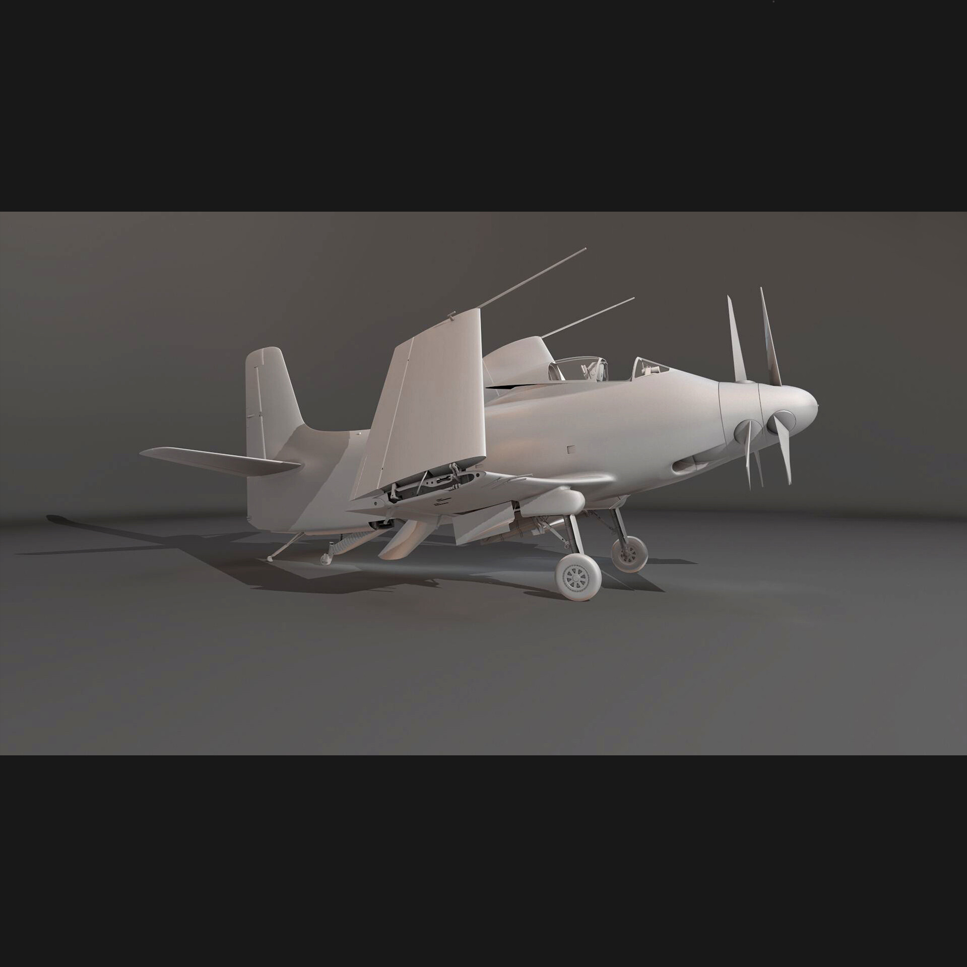 Roman Stepaniuk - Airplane AD2 skyshark