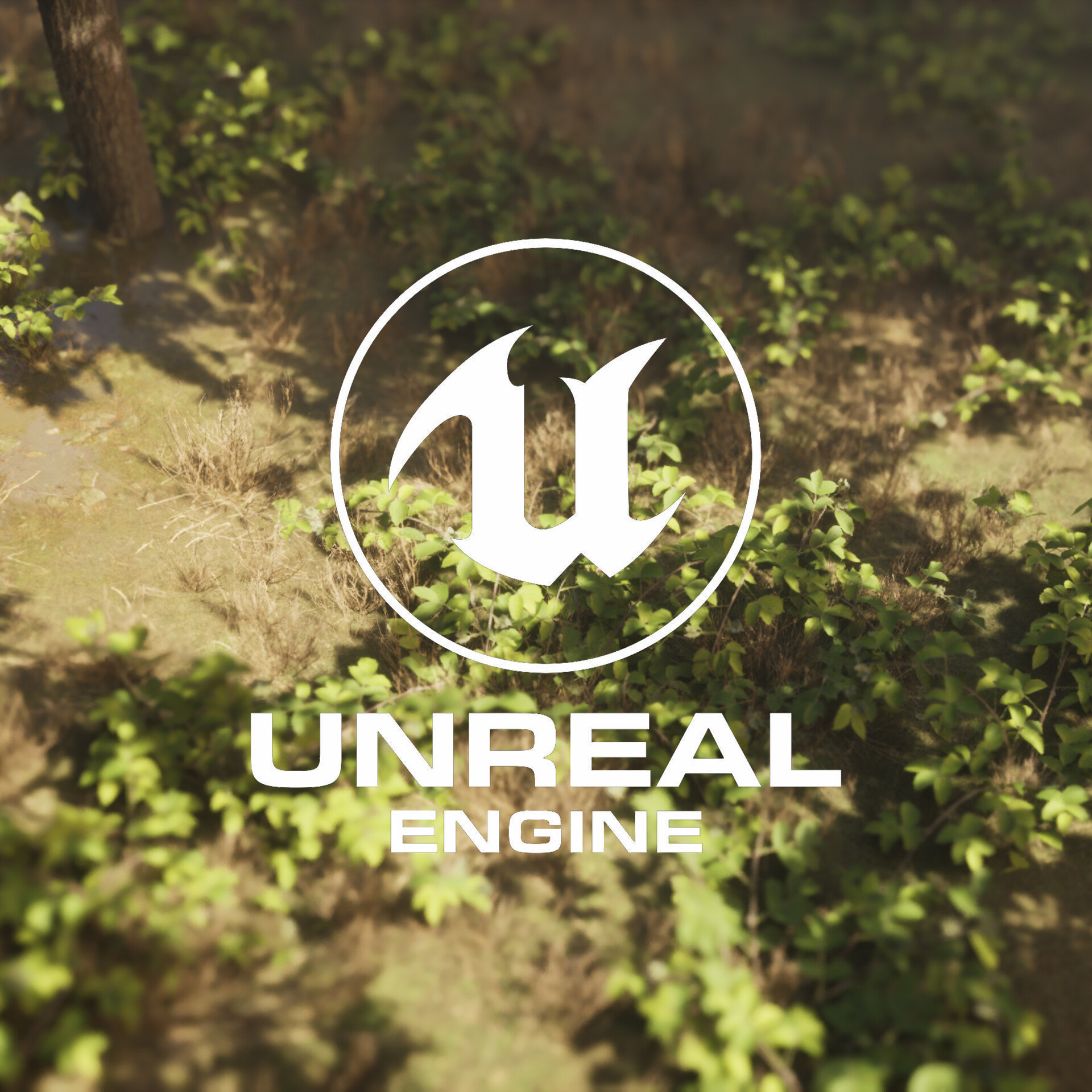 ArtStation - UE5-study forest