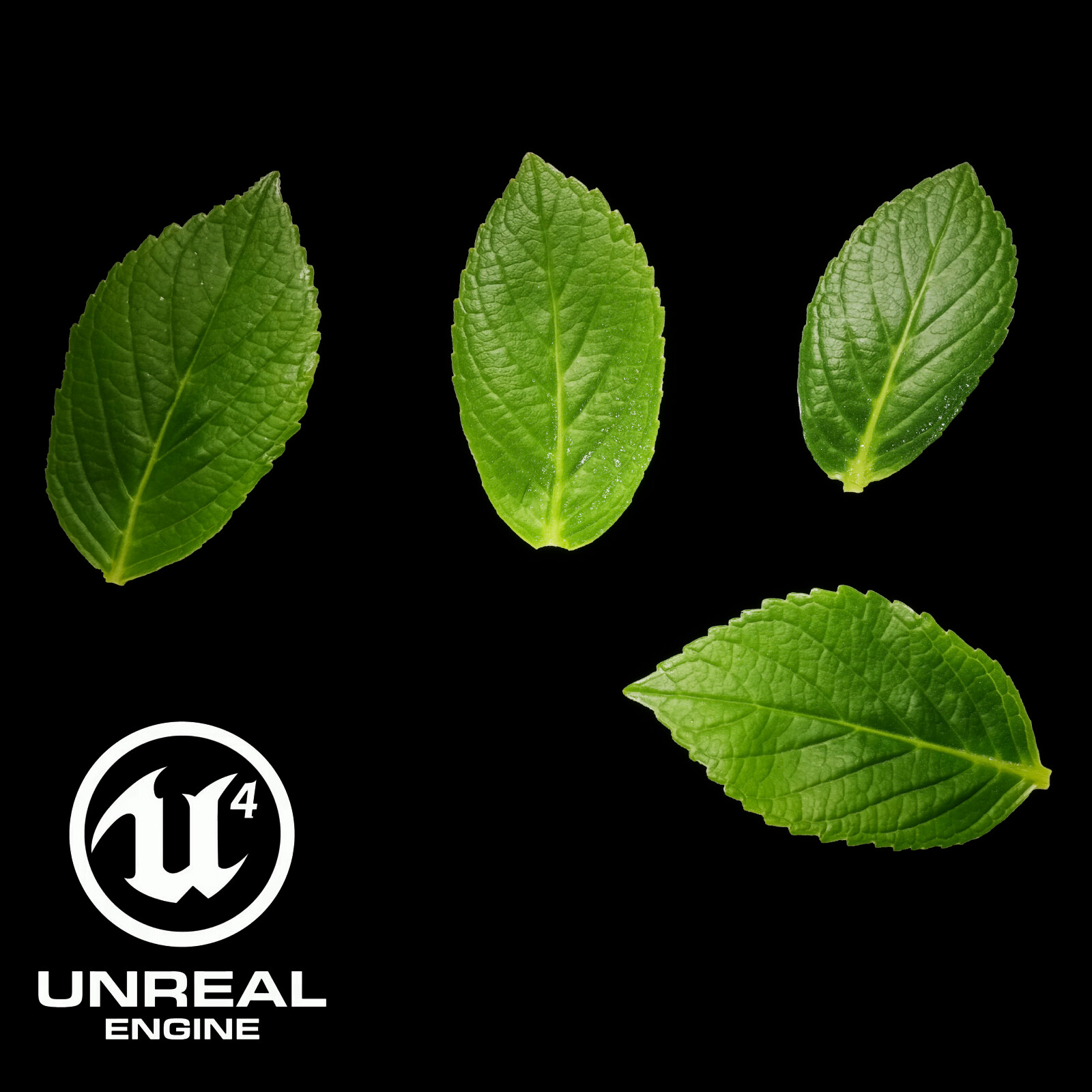 ArtStation - European Leaf Atlas material