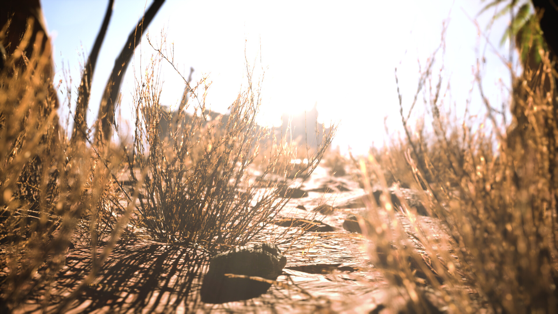 Shahrukh Khan - Ghost Ship - An Unreal Engine 5 Photoreal Environment ...