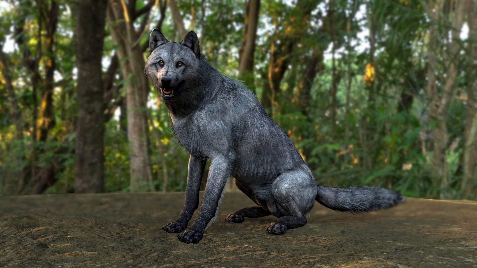 ArtStation - Happy Wolf