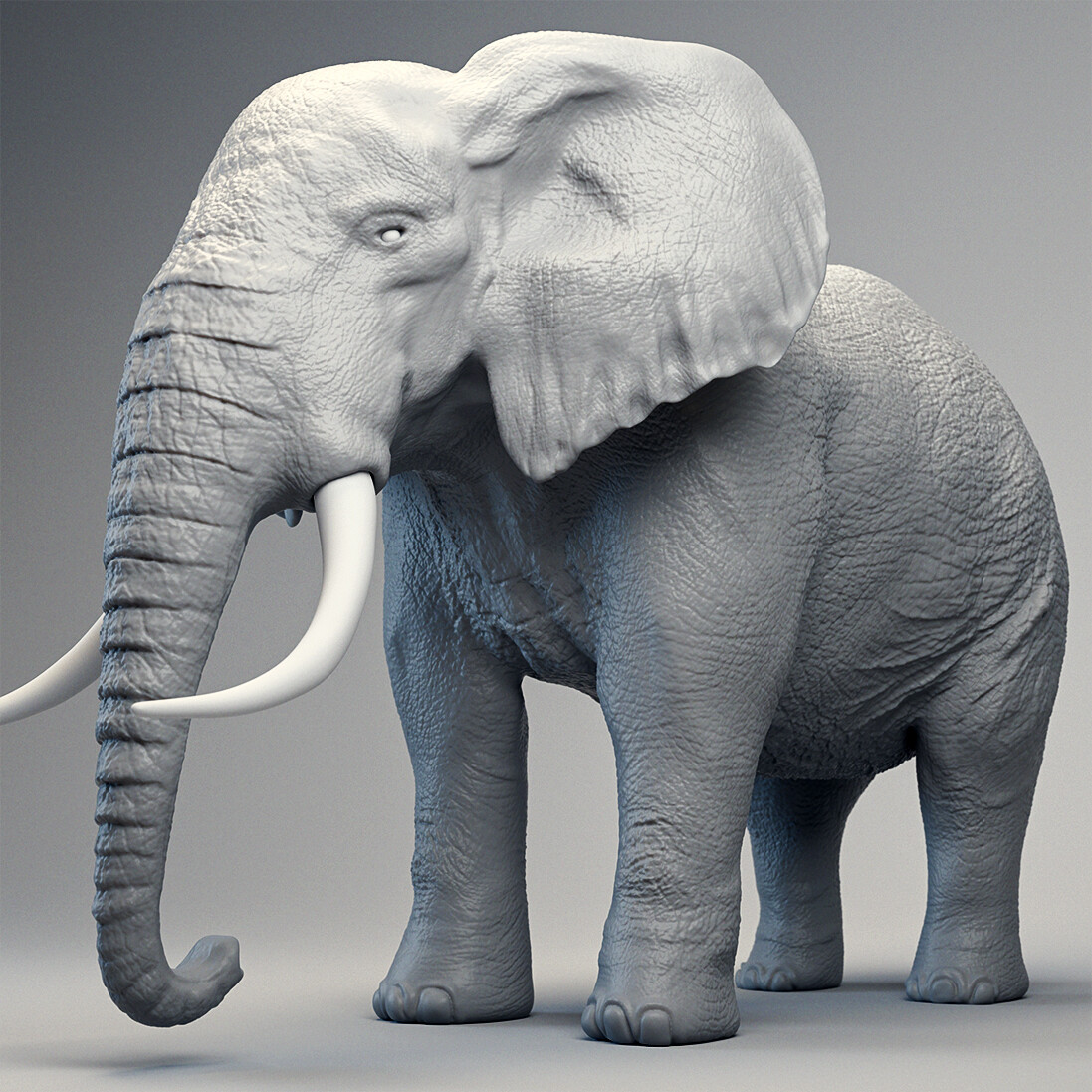 ArtStation - ELEPHANT