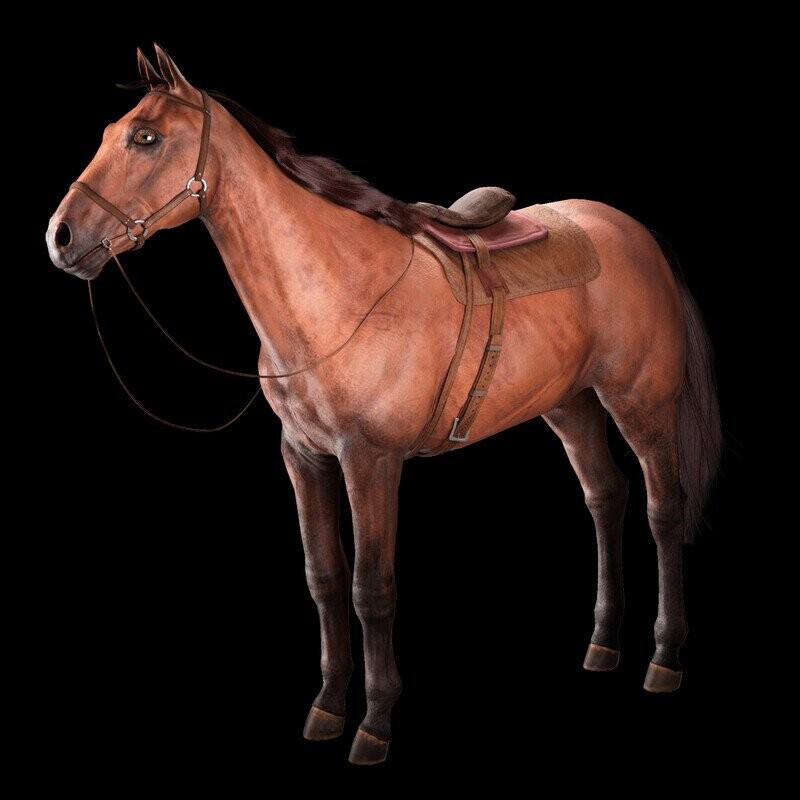 ArtStation - Horse 3d model