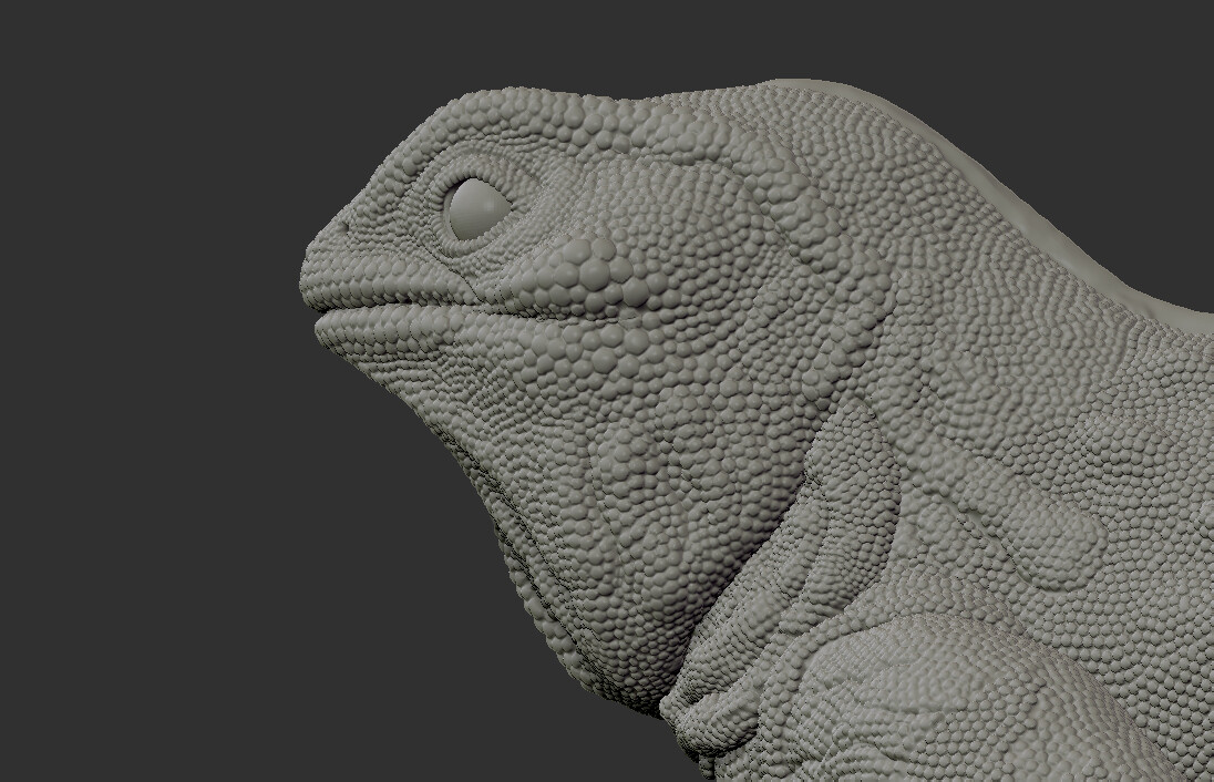 ArtStation - TUATARA - The Ancient Reptile