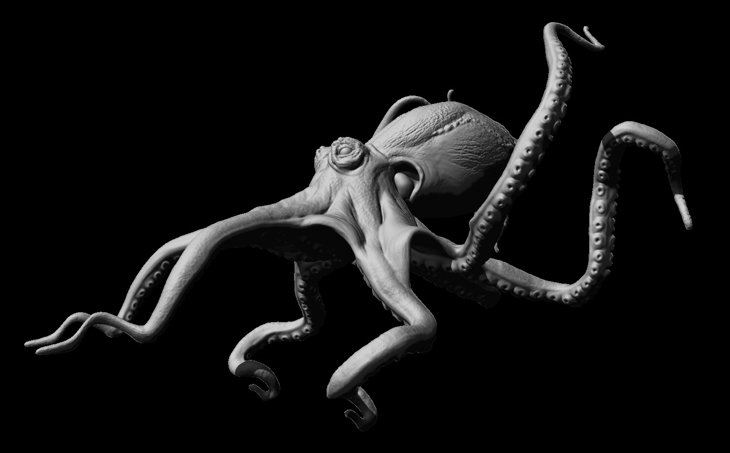 ArtStation - Octopus Study