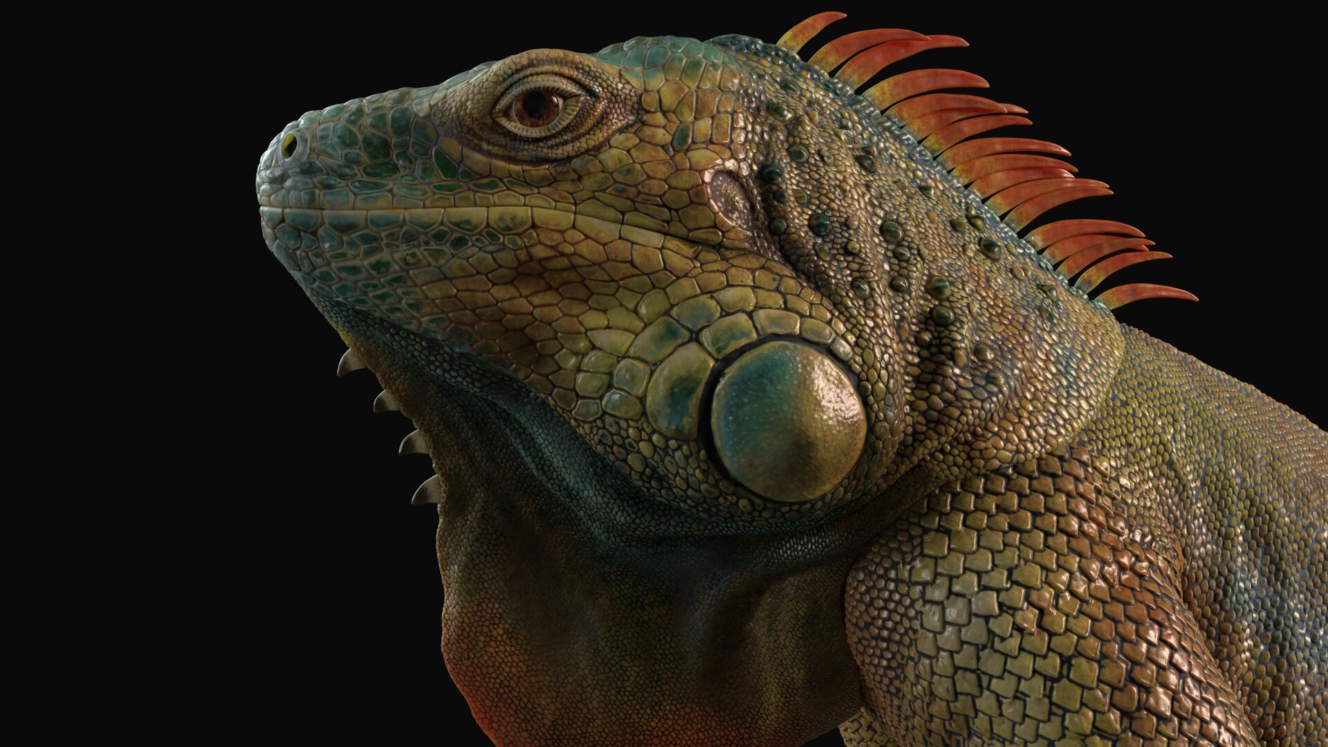 ArtStation - Iguana