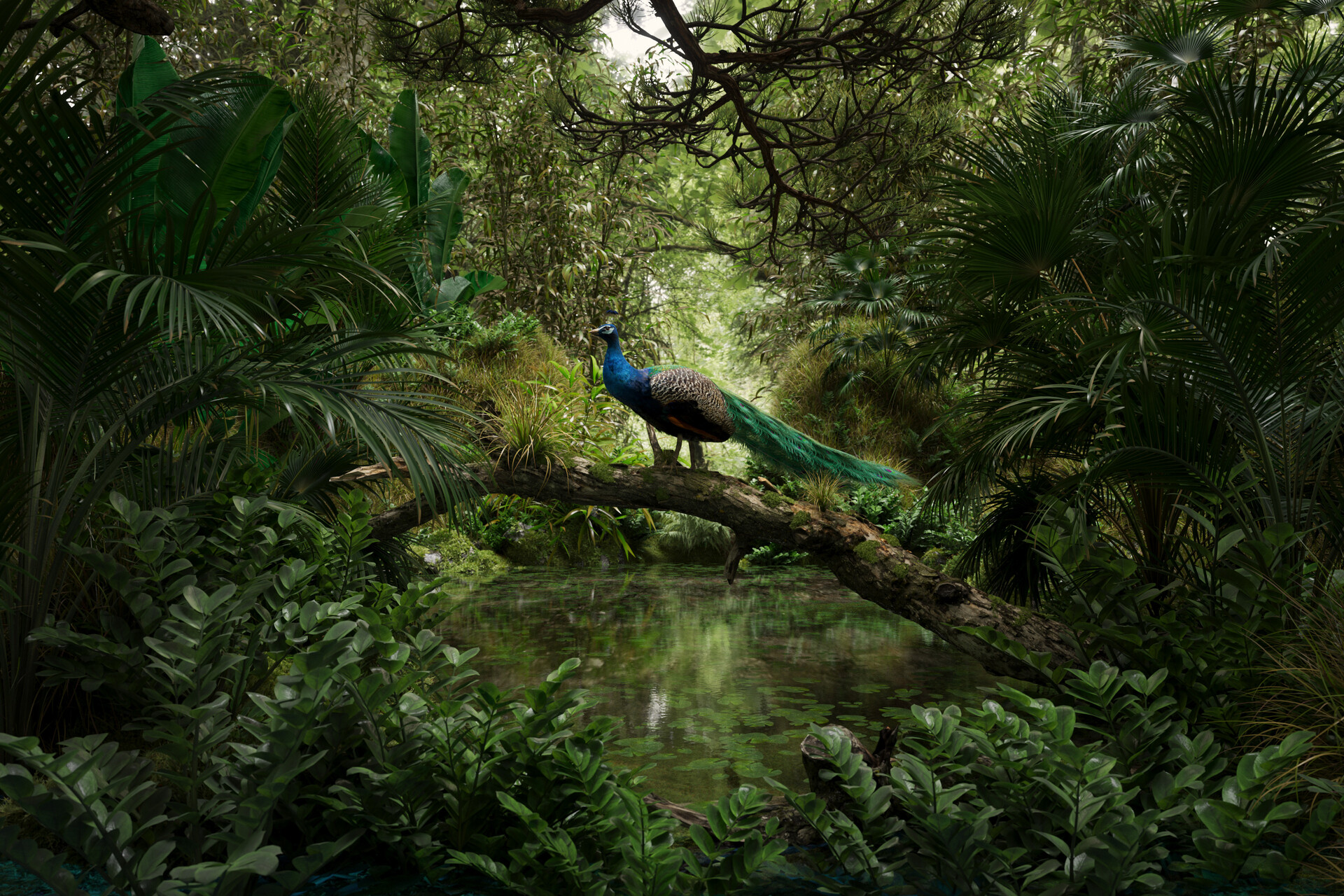 ArtStation - Birds & Botany - 3D photorealism (with 360 Pano)