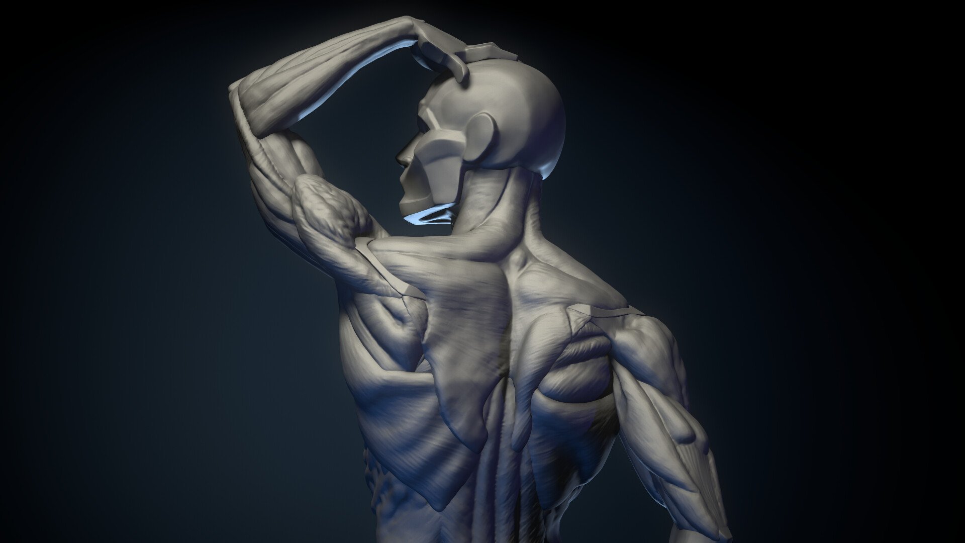 ArtStation - ECORCHE