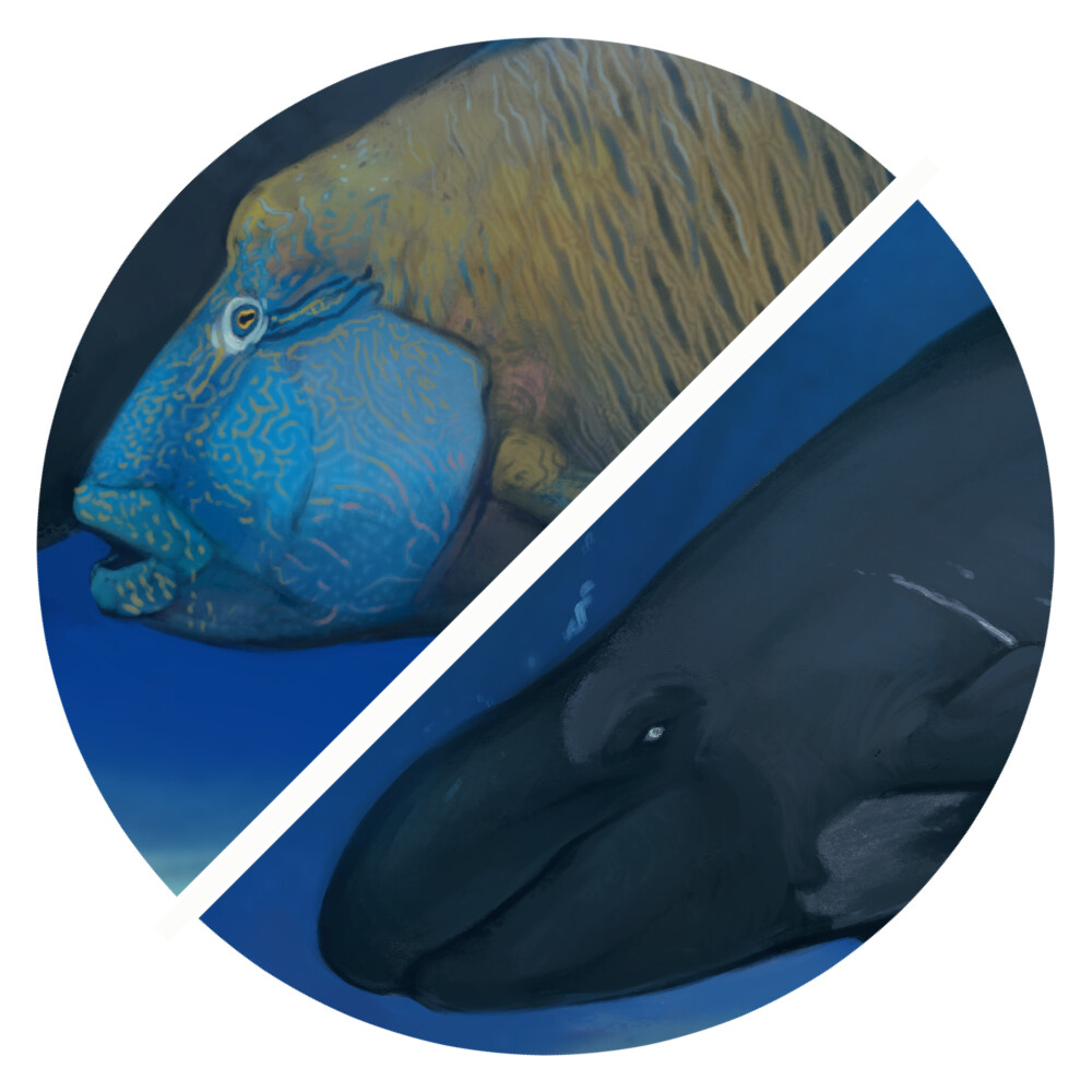 Alex Barley - Meeting