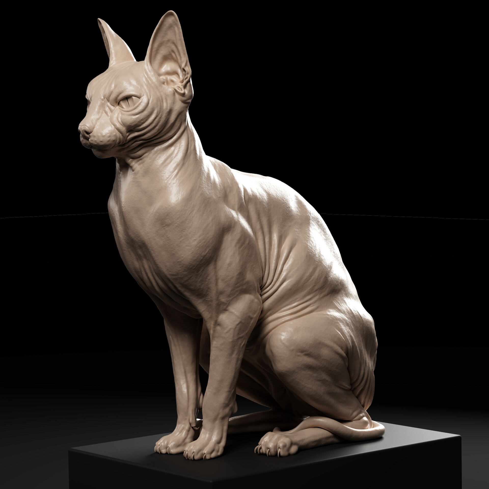 ArtStation - Sphynx cat