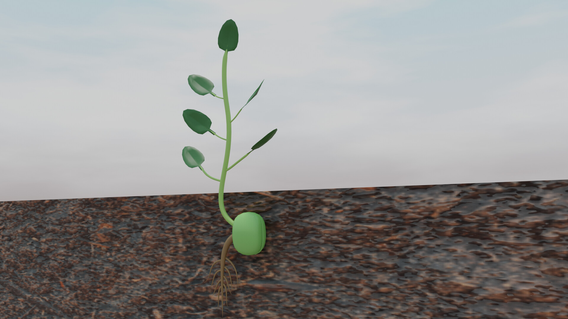 ArtStation - Seed Germination Animation