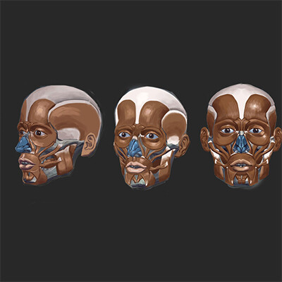 ArtStation - head draw & painting2
