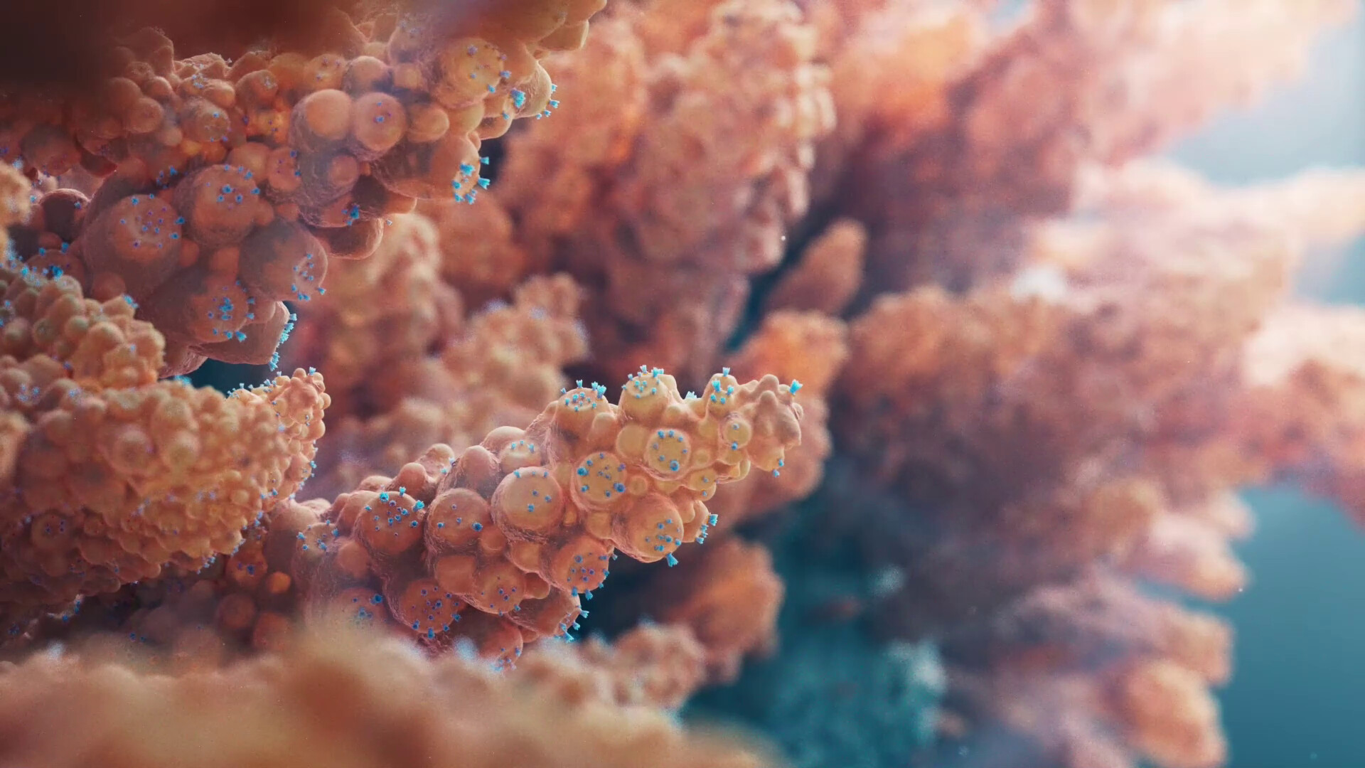ArtStation - Corals - Houdini Animation