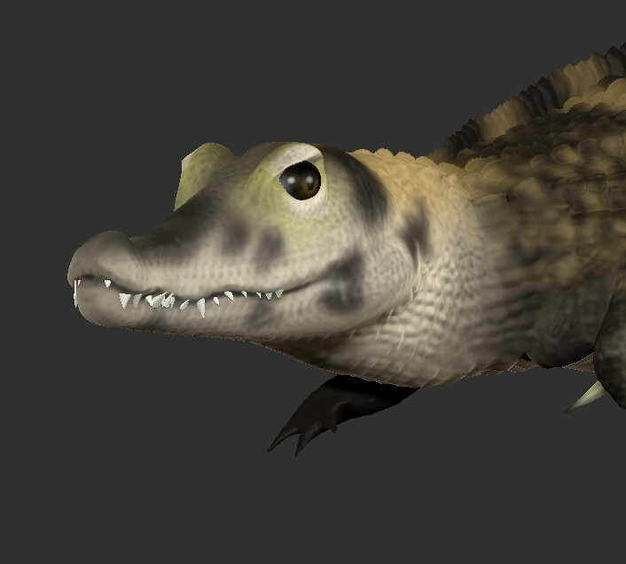 ArtStation - Organic Modeling 2021 - Dwarf Croc