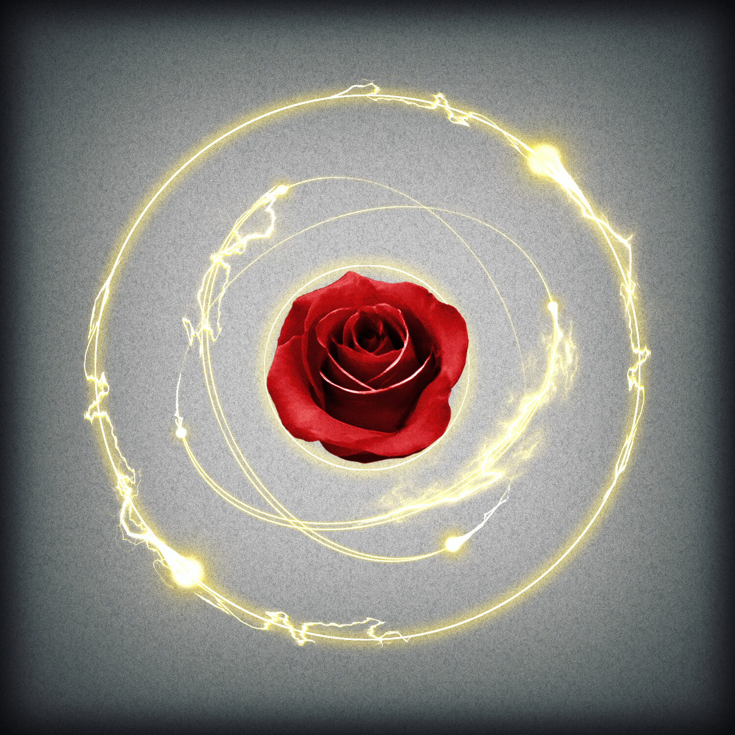 ArtStation - Atomic Rose