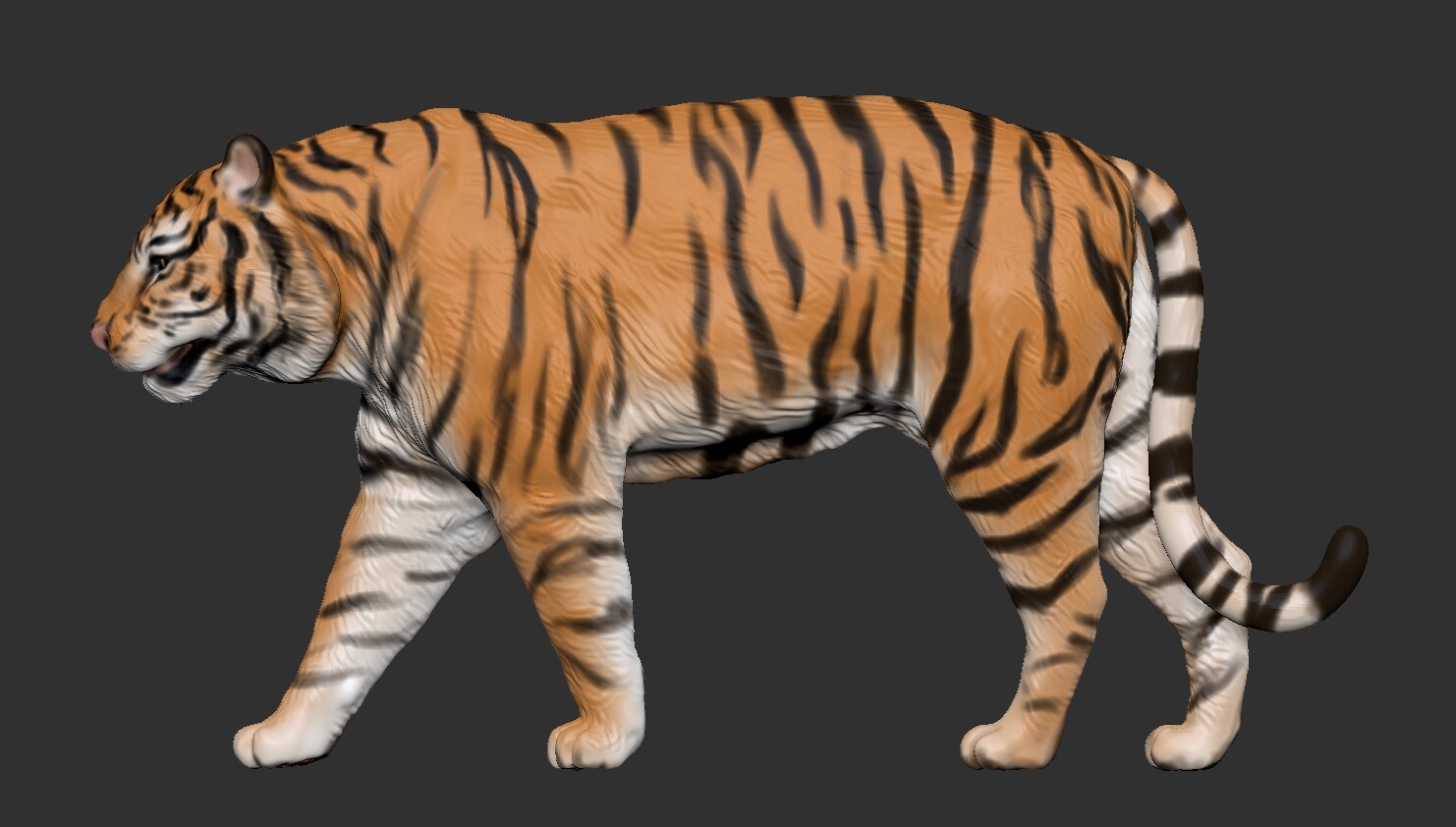 ArtStation - Tiger