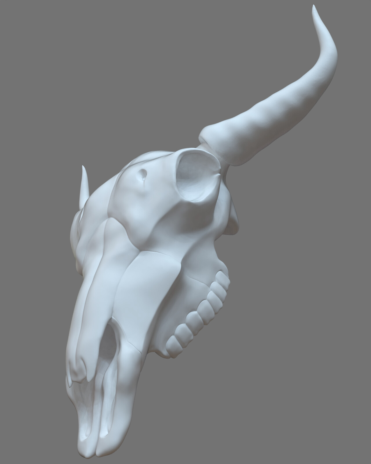 ArtStation - Bullhead Bone