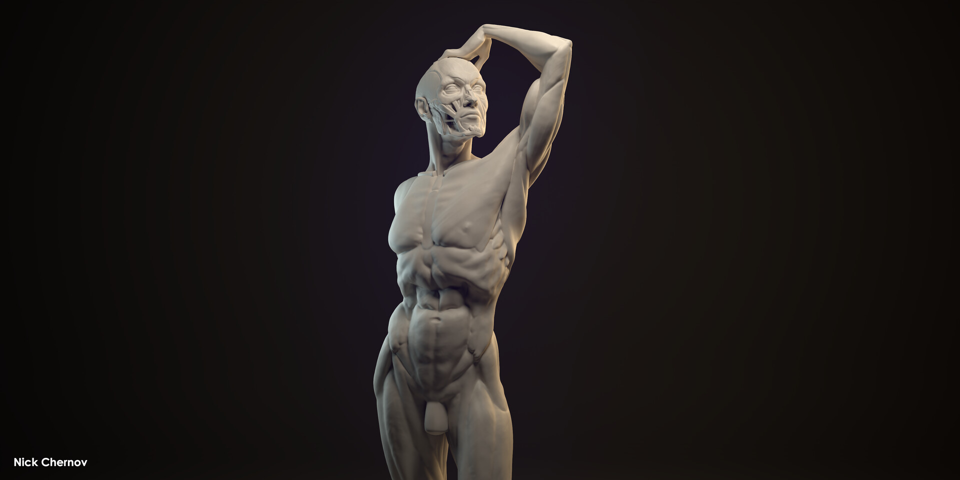 ArtStation - Ecorche