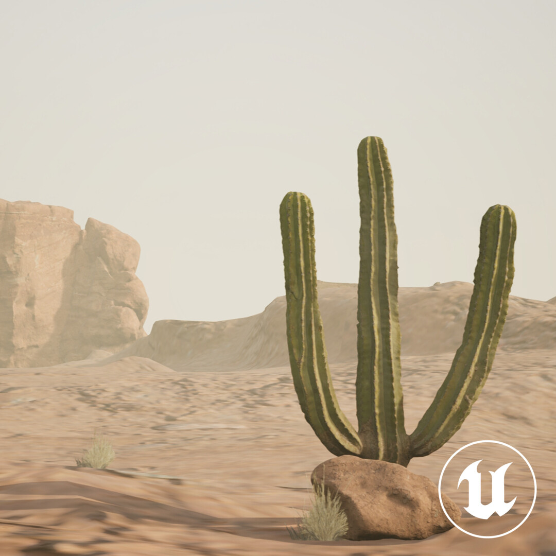 ArtStation - Rocky Desert