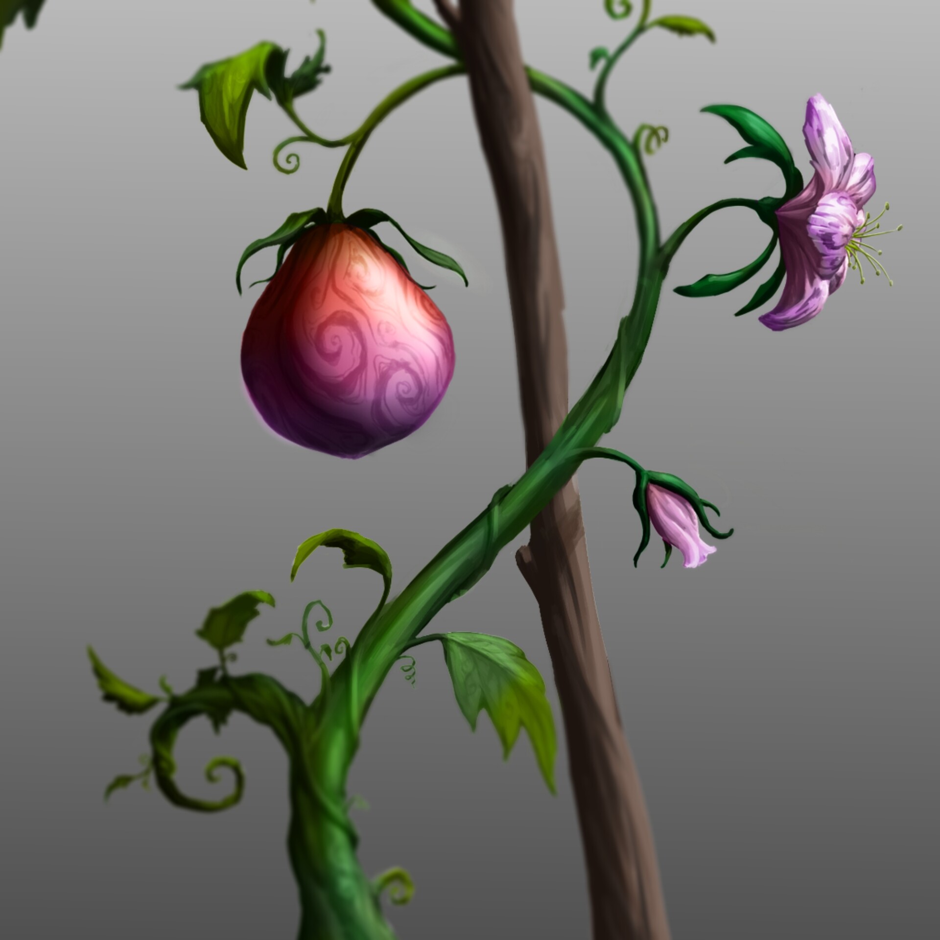 ArtStation - Fruitful Plant Concept Art