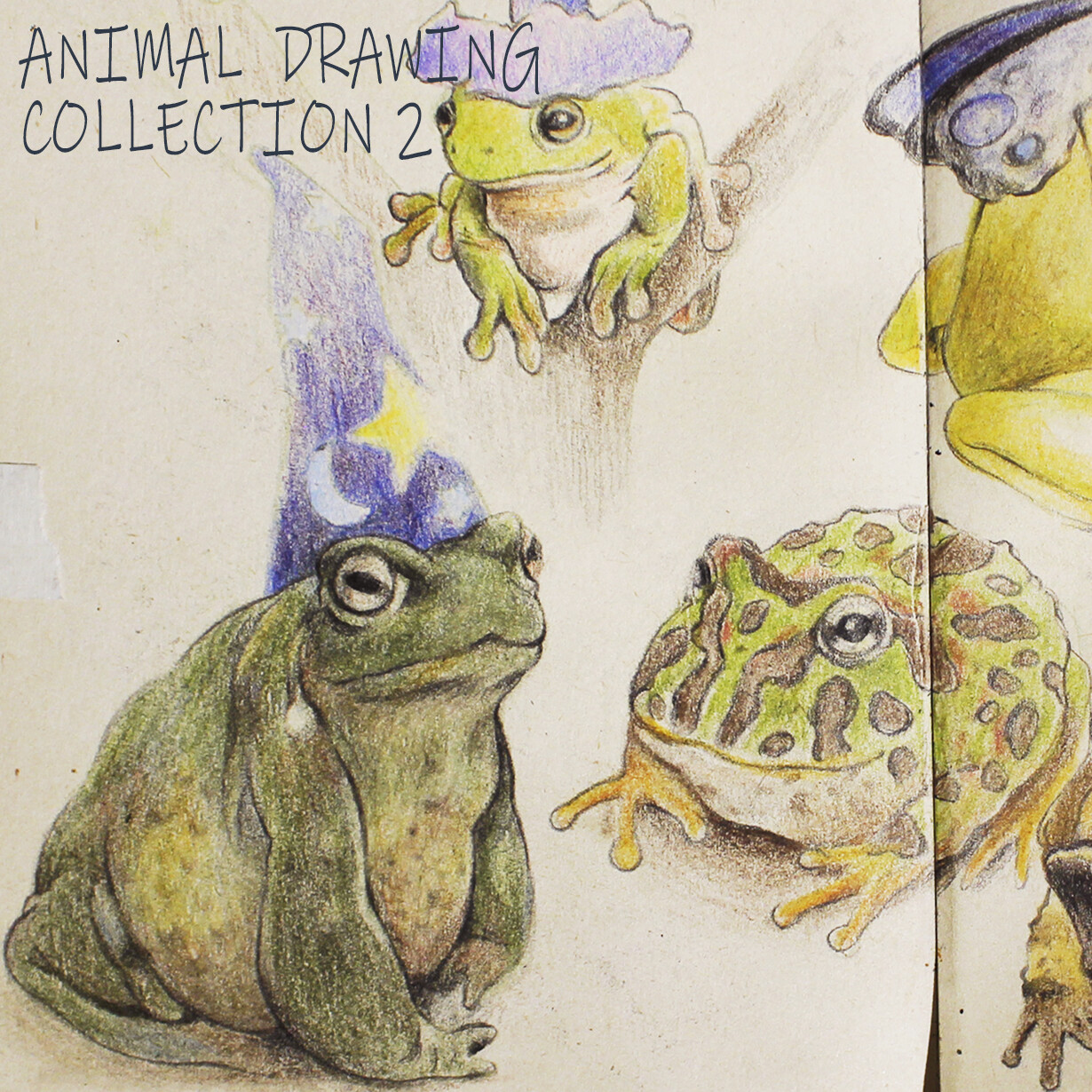 ArtStation - animal drawing collection