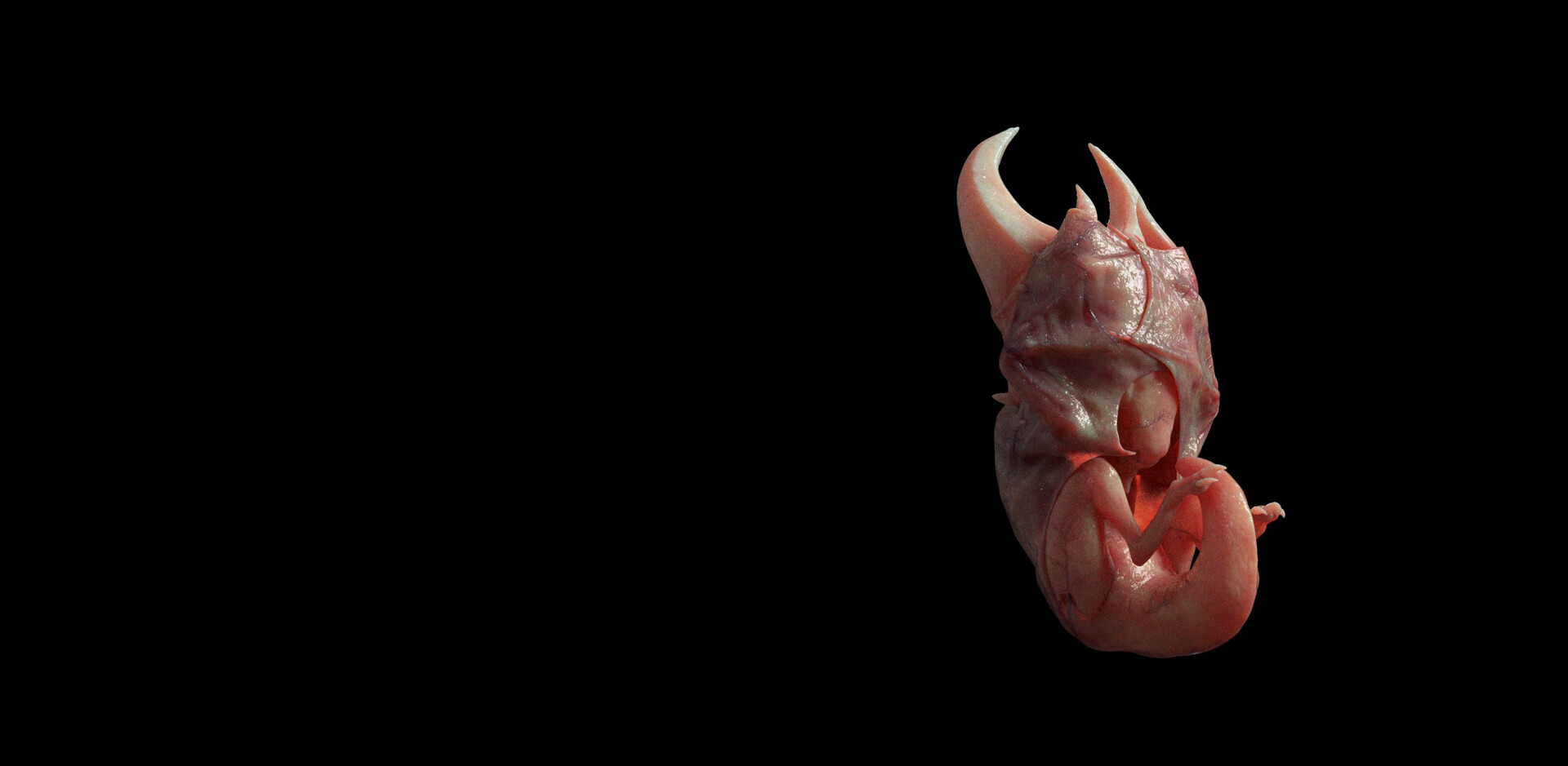 ArtStation - Foetus Dragon