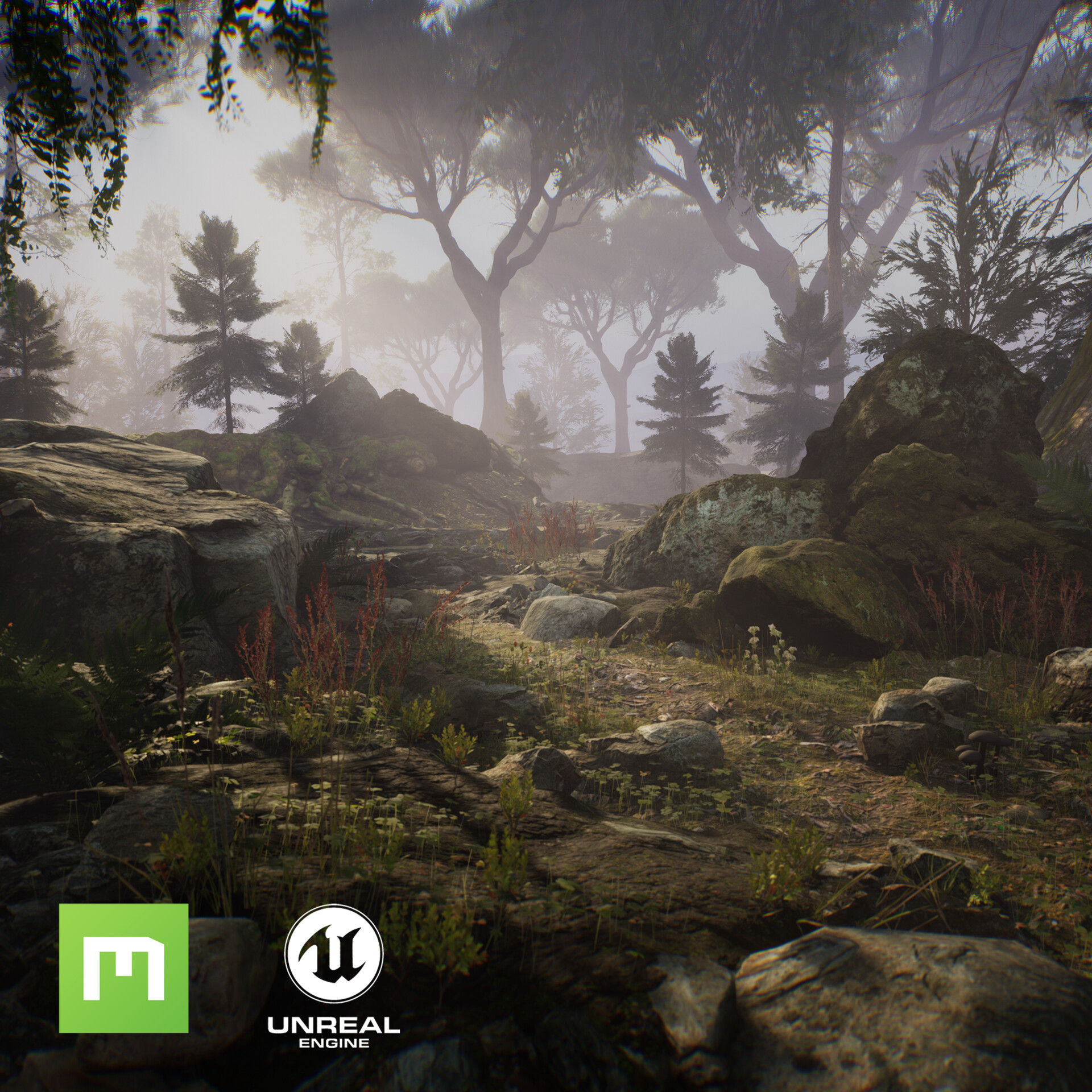 ArtStation - Forest path