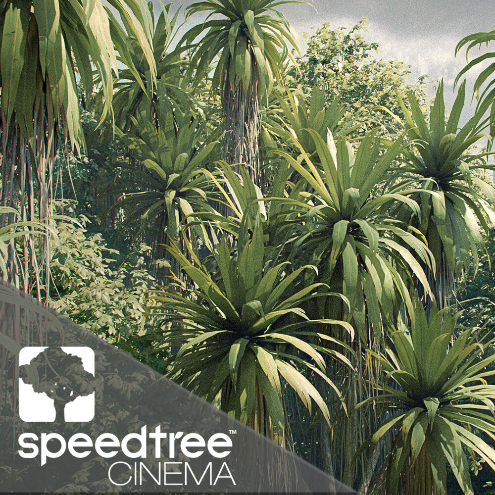 ArtStation - Mountain Cabbage Tree | Speedtree Cinema 9 Tutorial