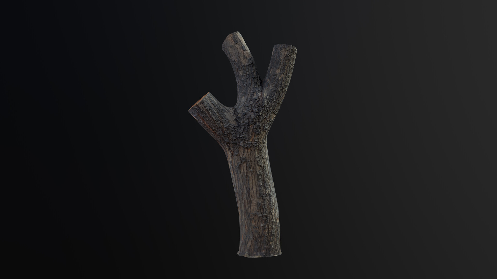 ArtStation - Tree_Trunk