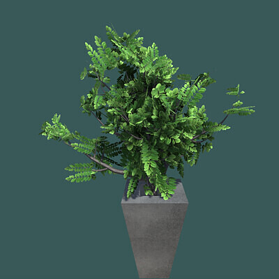 ArtStation - 3D Decoration Tree