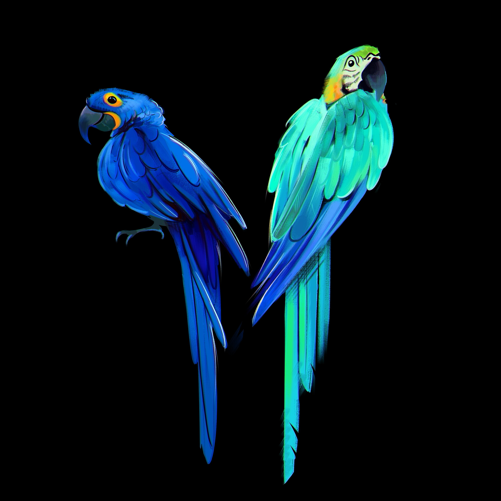 ArtStation - Parrots (study)