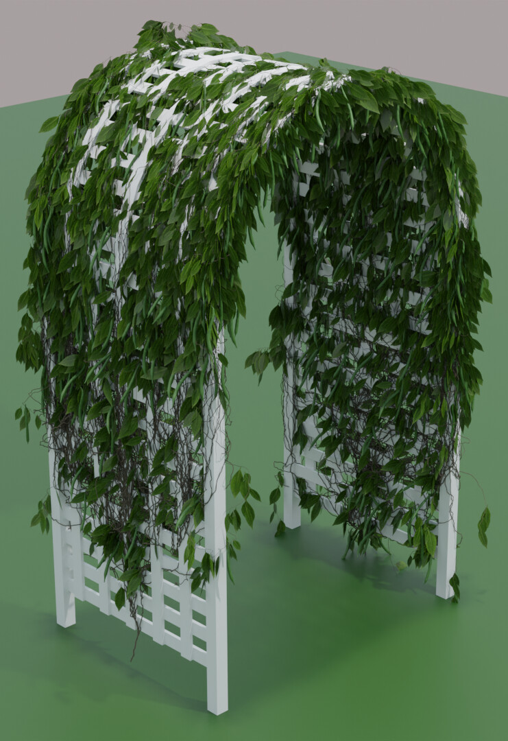 ArtStation - Arched Trellis with Green Beans/Wax Beans