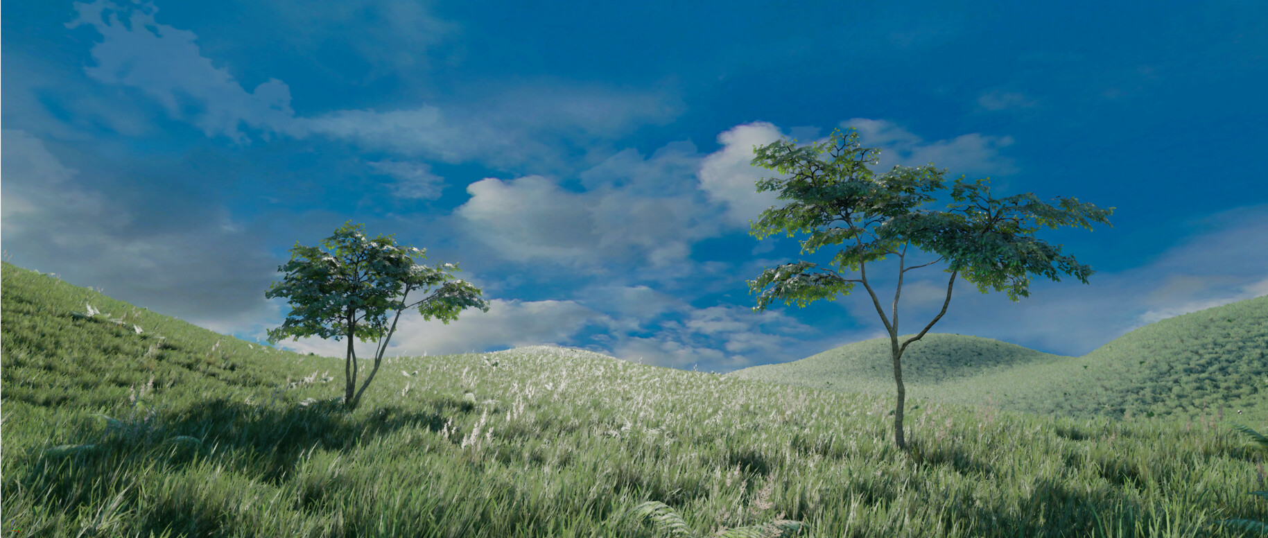 ArtStation - GrassLands
